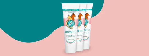 New, improved formula of emmi-pet ultrasonic toothpaste for dogs