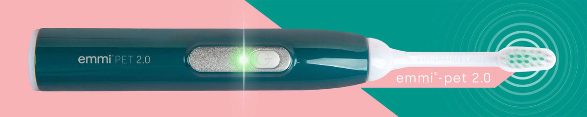 Ultrasonic toothbrushes for dogs | emmi-pet